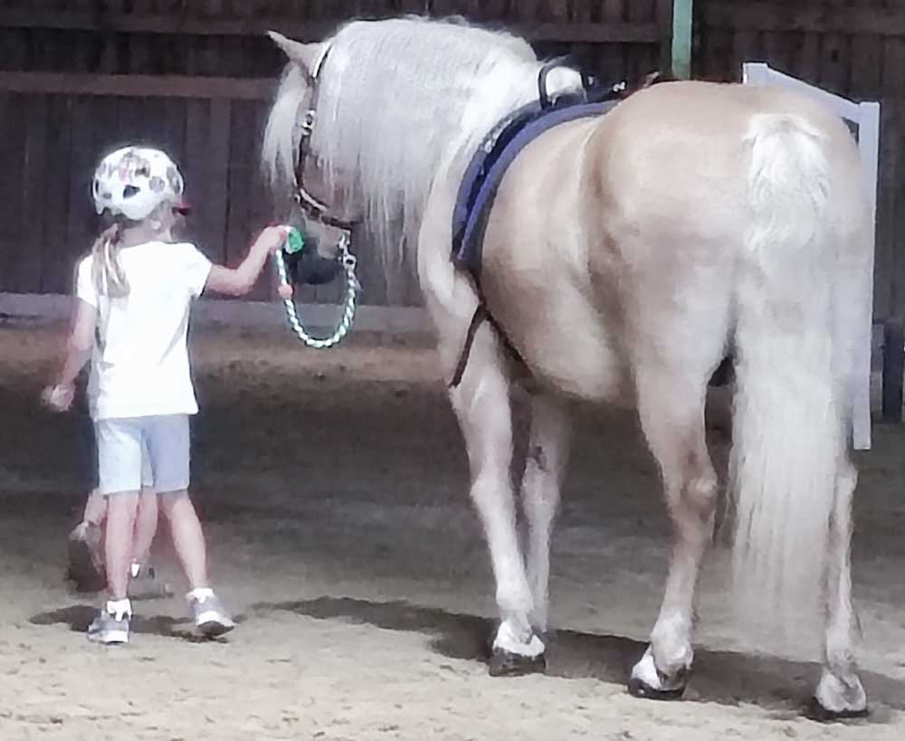 Reitunterricht für Kinder in Weilheim - Umgang mit dem Pferd lernen ...