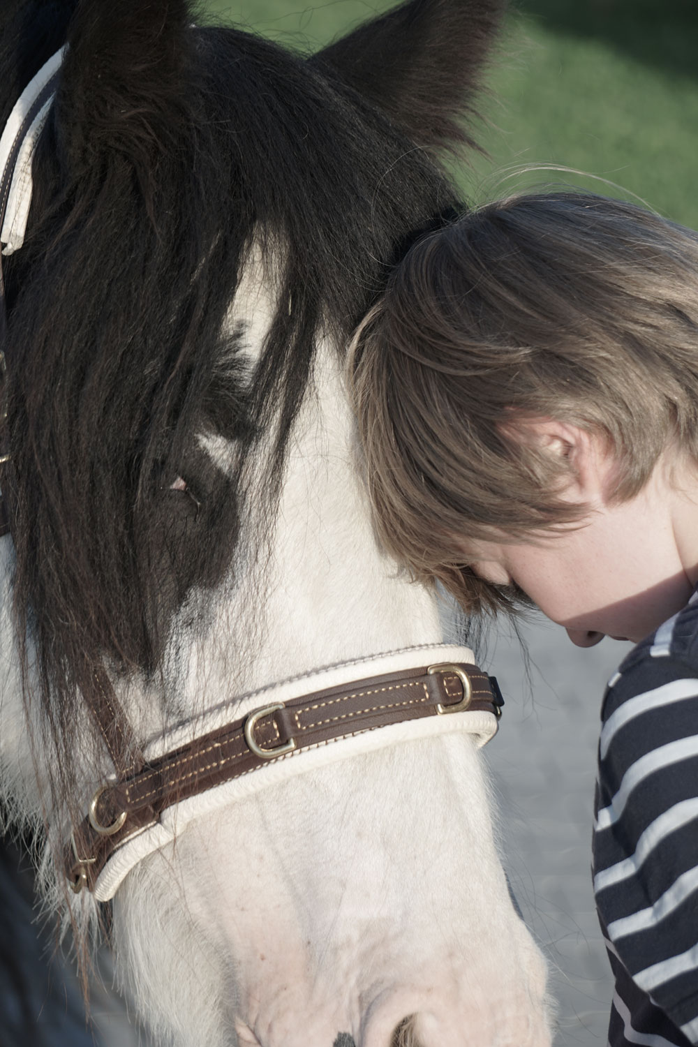 Kinderreiten und Reitunterricht in Weilheim - Pferde erleben