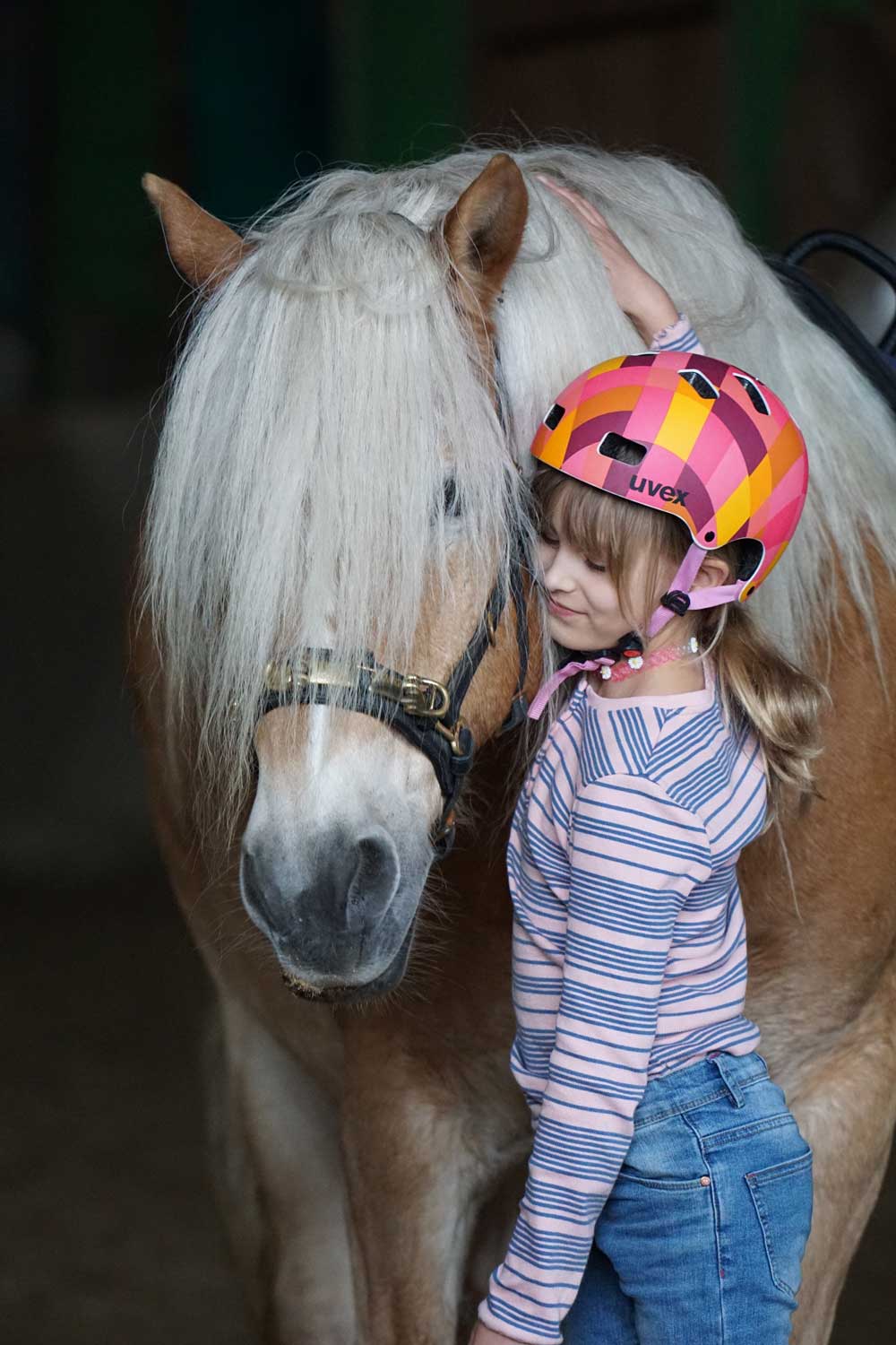 Reitunterricht für Kinder in Weilheim - Umgang mit dem Pferd lernen ...